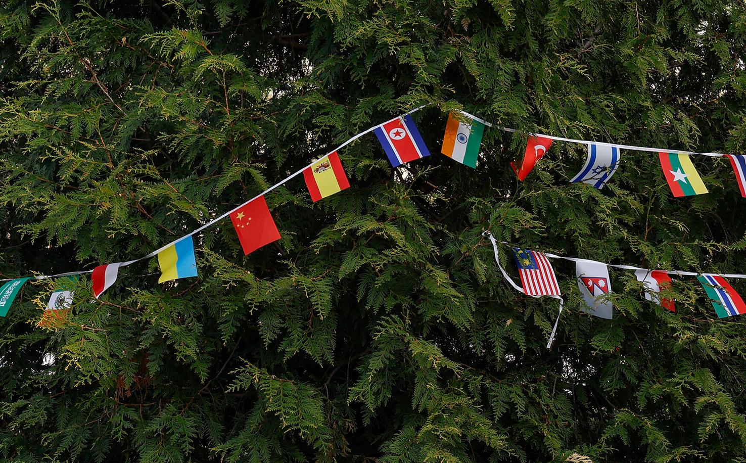 Multicultural organizations regroup after loss of guaranteed support ...