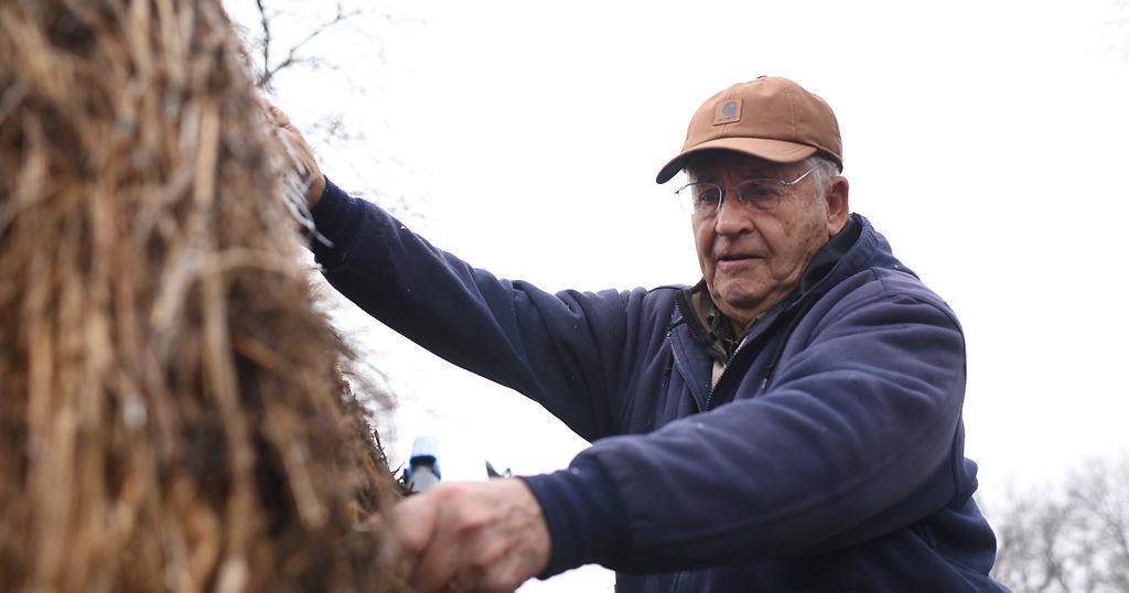 PHOTO GALLERY: Ray Beck tends to his family farm | Visuals ...