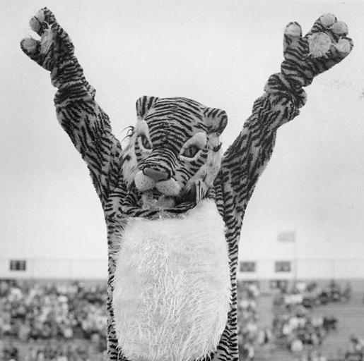 truman the tiger coloring page