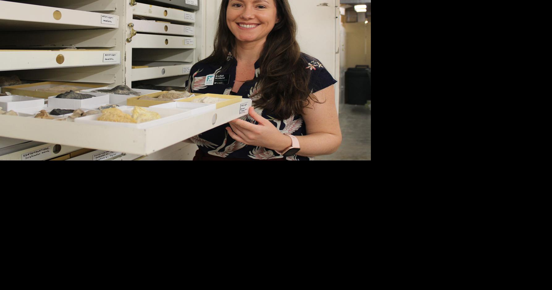 Fossils at the Florida Museum of Natural History | Part 1: Profit ...