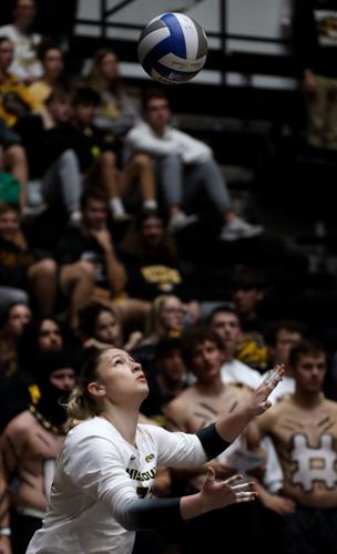 Mizzou volleyball sweeps South Carolina, runs win streak to nine ...