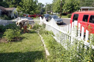 Less lawn and more garden | Local | columbiamissourian.com