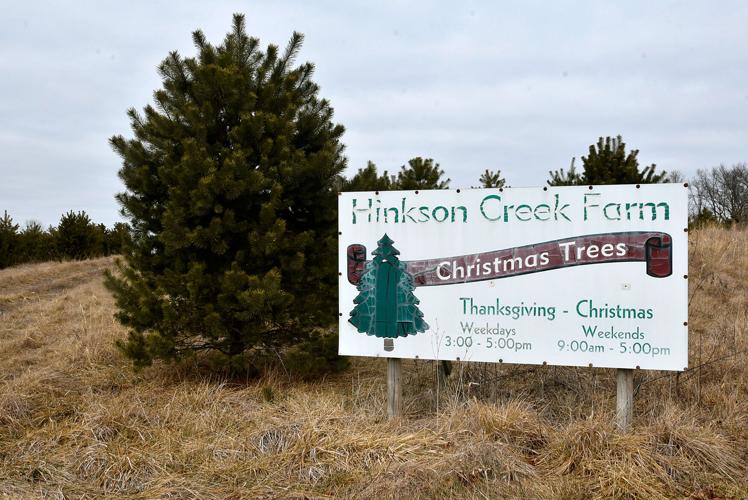 Cultivating a vision: Alspaugh family looks forward to their farm's ...