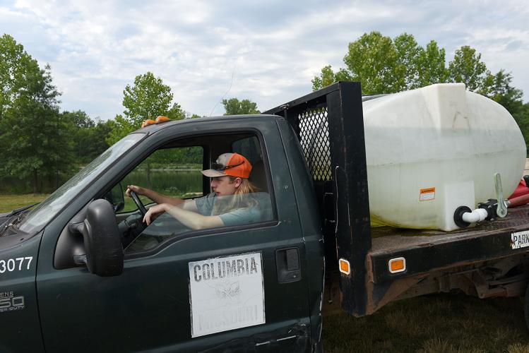 Ongoing drought adding to city tree management difficulties | Local ...