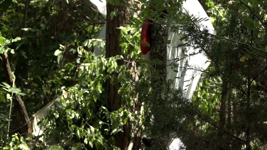 Photos of small plane crash in Osage Beach | Local | columbiamissourian.com