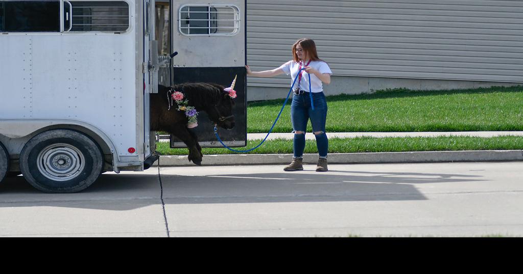 Volunteer Angie Busby unloads Chalupa Batman from a trailer | Photos ...