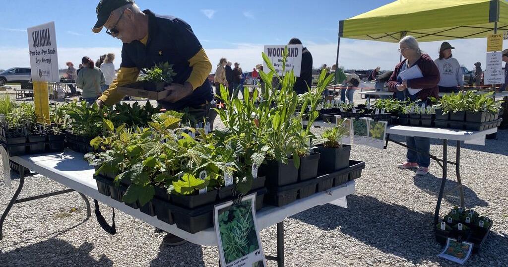 How Columbia residents purchased native plants | Local ...