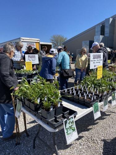 Missouri Prairie Foundation held a native plant sale on Saturday, April ...