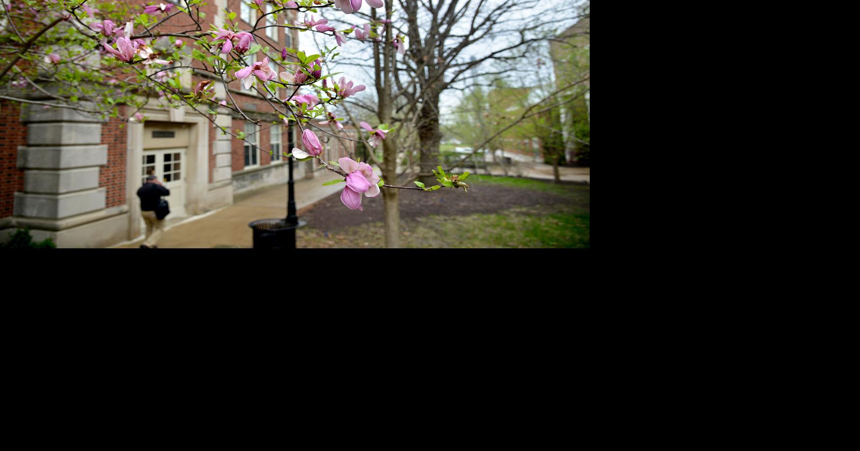 Rainy weather rings in April | Visuals | columbiamissourian.com