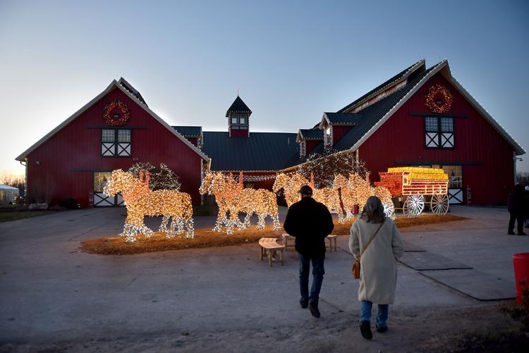 Visitors meet iconic Budweiser Clydesdales at Warm Springs Ranch ...