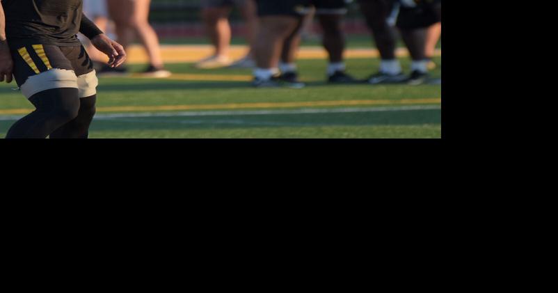 Florida transfer Johnson feeling at home with Tigers | Mizzou Football ...