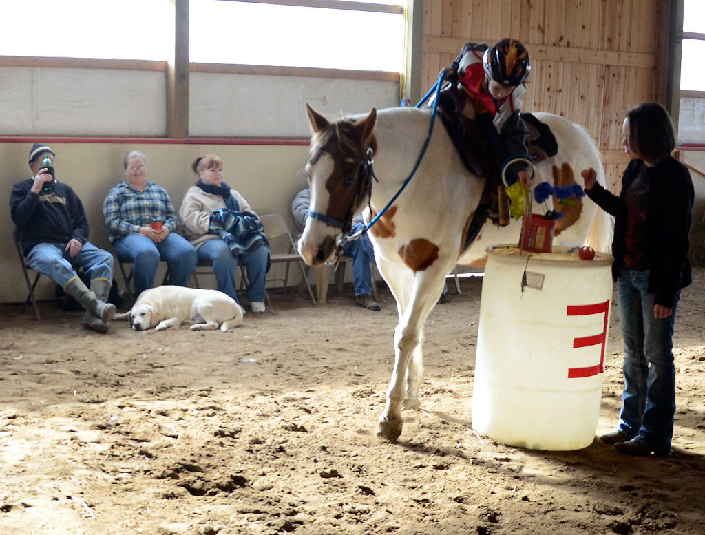 Son's recovery inspired Bonnie Riley's passion: her equine therapy ...