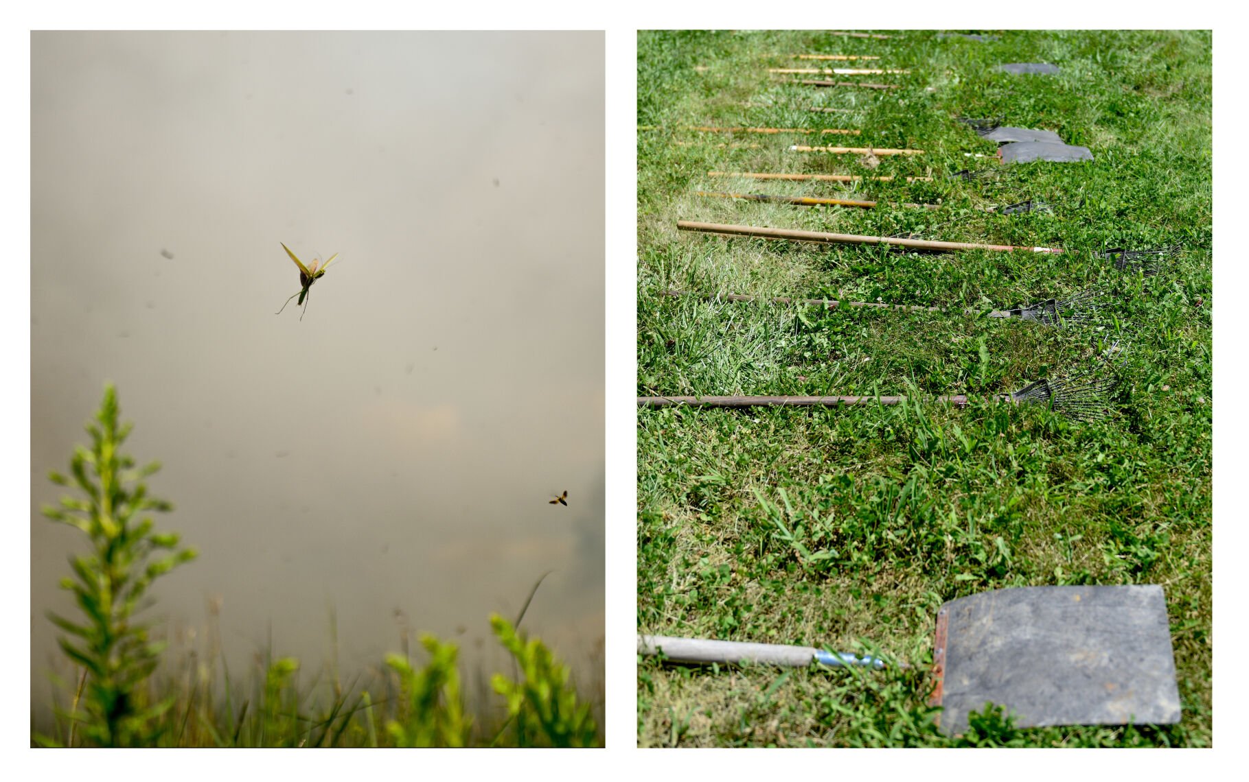 PHOTO GALLERY: "CPS Burn Team" practices pyro on the prairie | Visuals ...