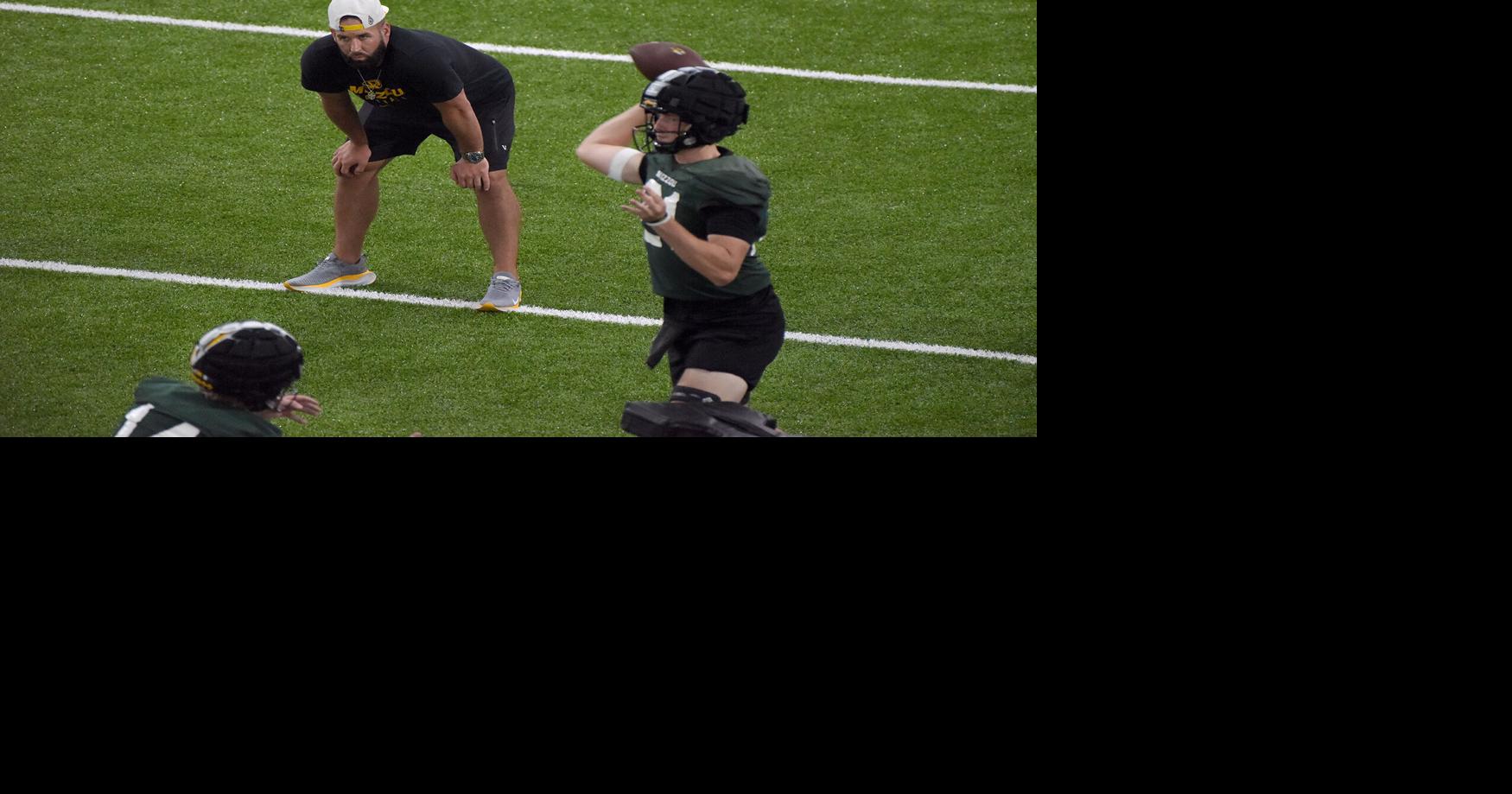 Former Tigers QB Daniel joins NFL Network as show co-host | Mizzou ...