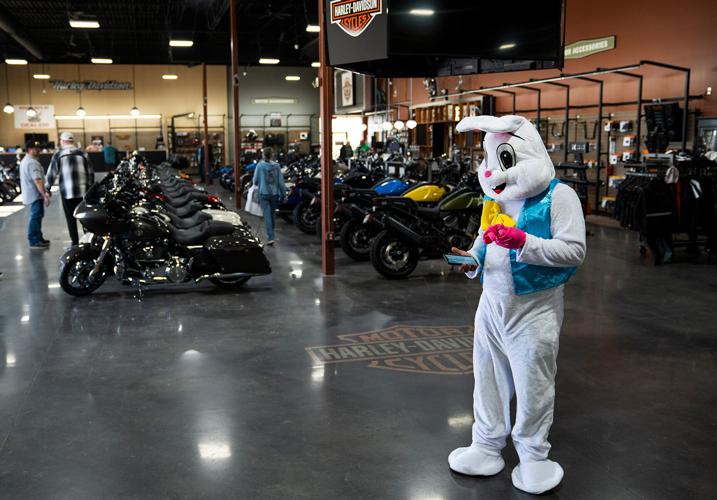 Freelance Easter Bunny turns holiday into side-hustle | Photos ...