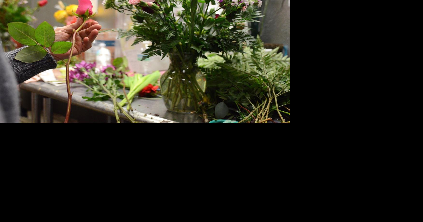 Sandra Ferguson strips thorns from a pink rose | | columbiamissourian.com