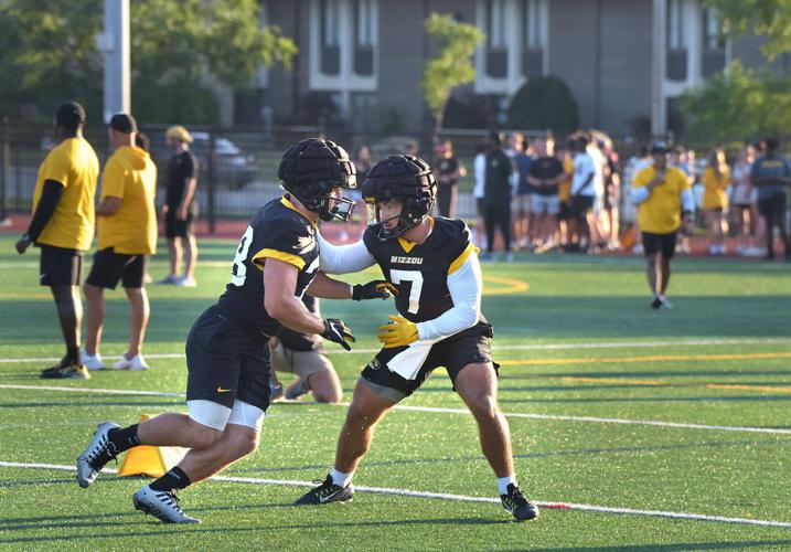 Florida transfer Johnson feeling at home with Tigers | Mizzou Football ...