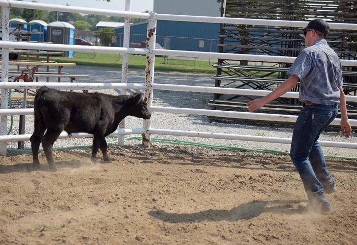 Cattlemen Days Rodeo returns to Ashland | News | columbiamissourian.com