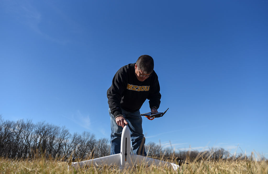 MU research looks for more cost-effective ways to grow forage for ...