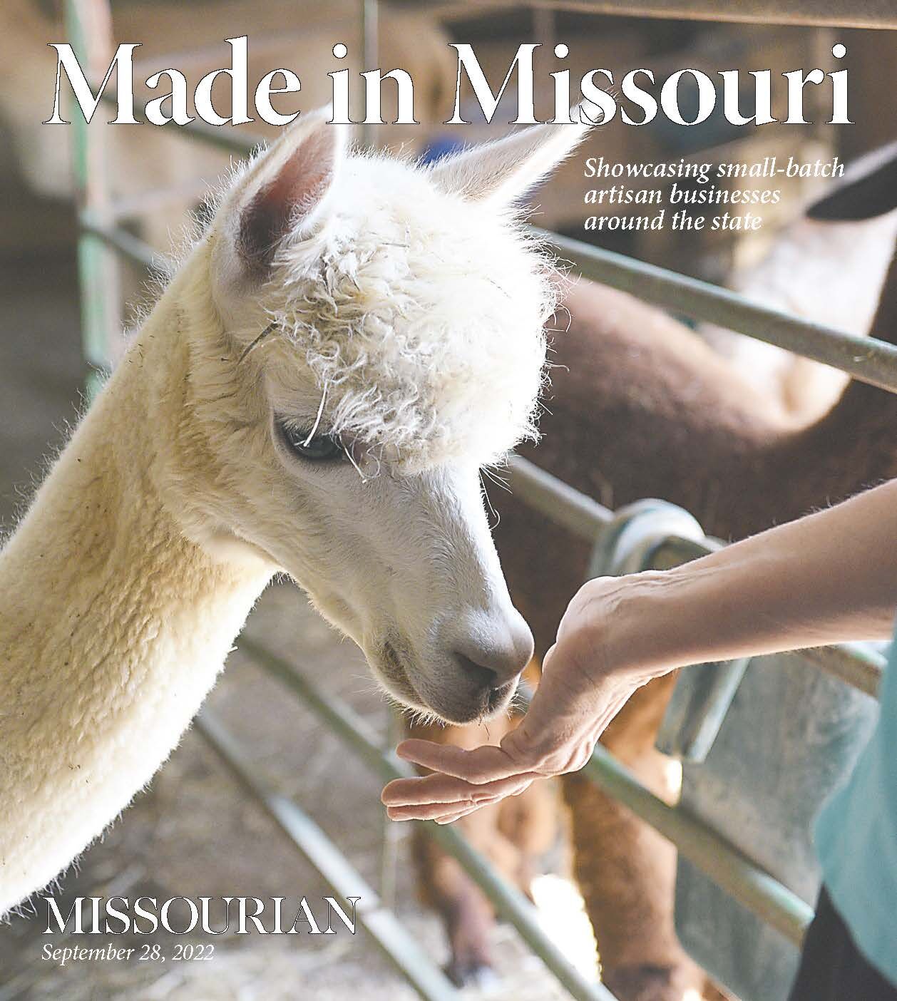 Rosa String Works: Building and repairing string instruments since 1983 ...