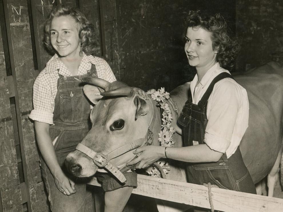 Iconic advertising symbol Elsie the Cow lived and died in Plainsboro ...