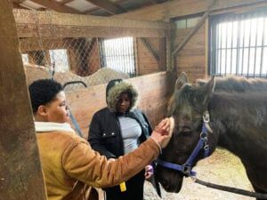 Mercer Stables Slowly Re-Opening Barn Doors | A&E | communitynews.org