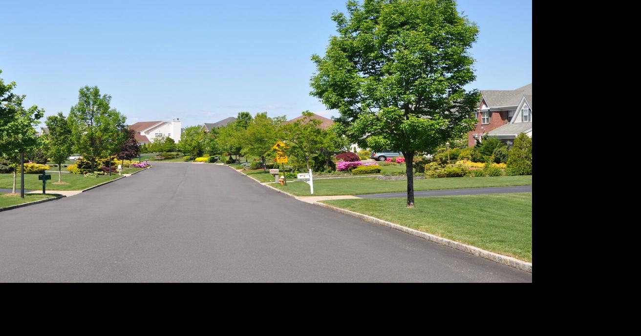 Hamilton's free shade tree program still bearing fruit | Hamilton Post ...