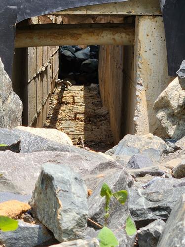 Nature in the Valley: Parks commission takes wildlife safety seriously ...