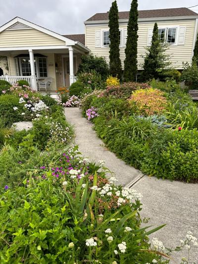 Hamilton home garden a 'magnificent obsession' | Hamilton Post ...