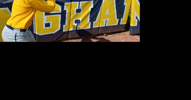 Jordan Raba overcomes injury to help lead Northstar baseball | Hamilton ...