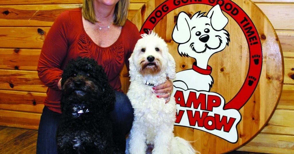 Camp Bow Wow Lawrenceville Nj