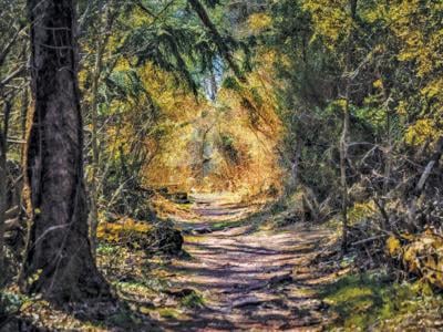 FOPOS Announces 2023 Photo Contest | Between the Lines | communitynews.org