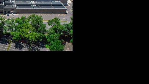 Hamilton Post | communitynews.org