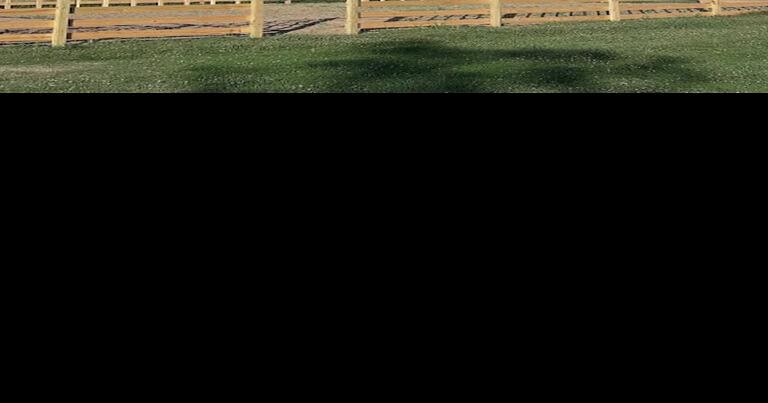 Bonaparte’s Point Breeze Estate Focus of New Garden and Archeology Talk ...