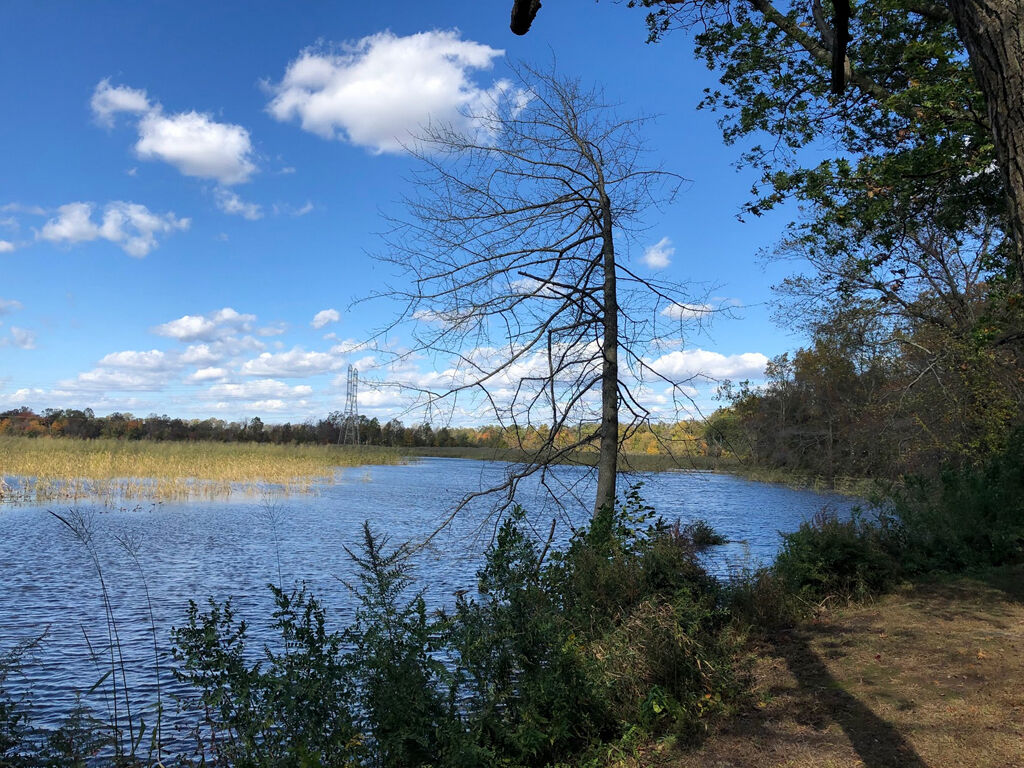 The Delaware River: A national success story | Hamilton Post ...