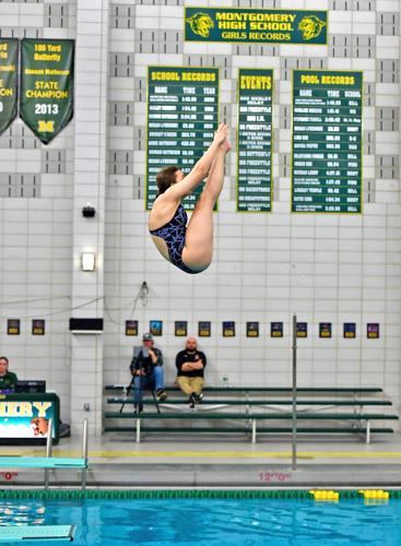 Notre Dame's Williamson sets sights on state diving title | Schools ...