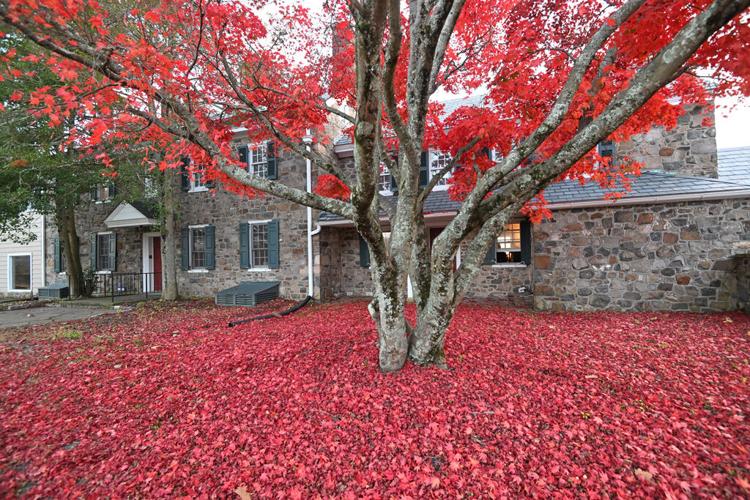 Zoning board vote allows proposed boutique hotel plans to proceed ...
