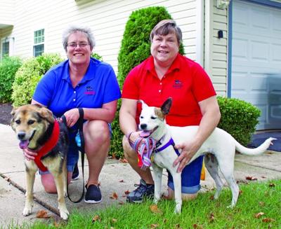 Fetch! Pet Care has your tail covered | Advertising Features ...