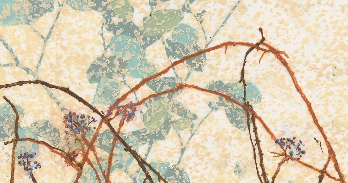 TAWA & Library Present ‘Art and Nature’ | A&E | communitynews.org