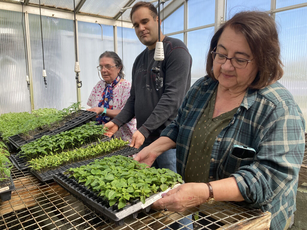 Project Grow continues to flourish through hot summer | Hamilton Post ...