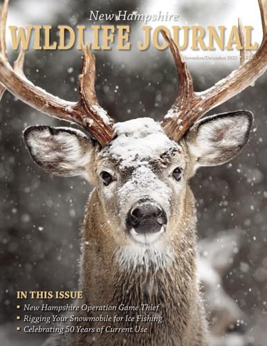 Shop Wild Saturday set for Dec. 16 | Local Business News ...