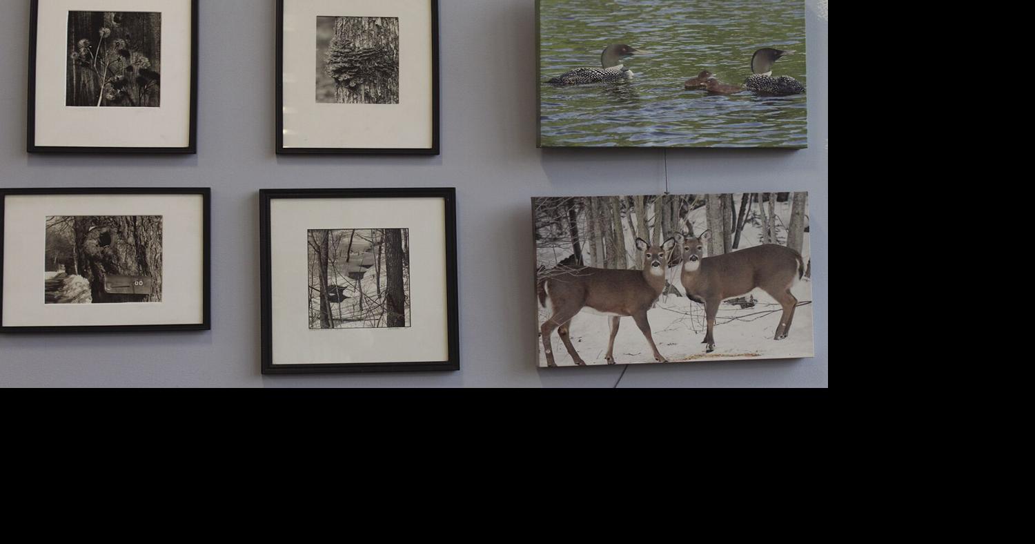 Hospital artist of the month features nature photography | Arts ...