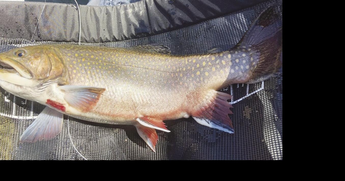 North Country Angling: Old Timer and Troutman’s opening day | Fishing ...