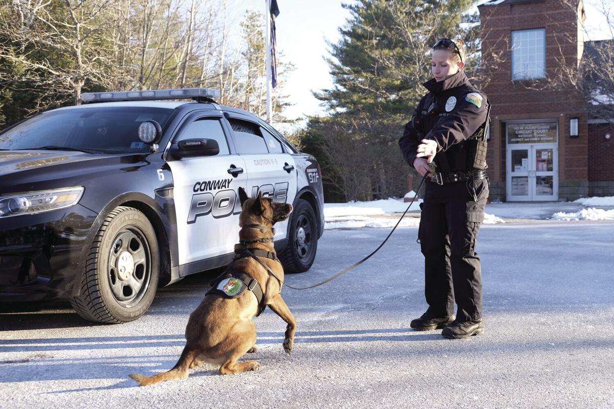 Conway's finest (and furriest): PD welcomes new K9 | Local News ...