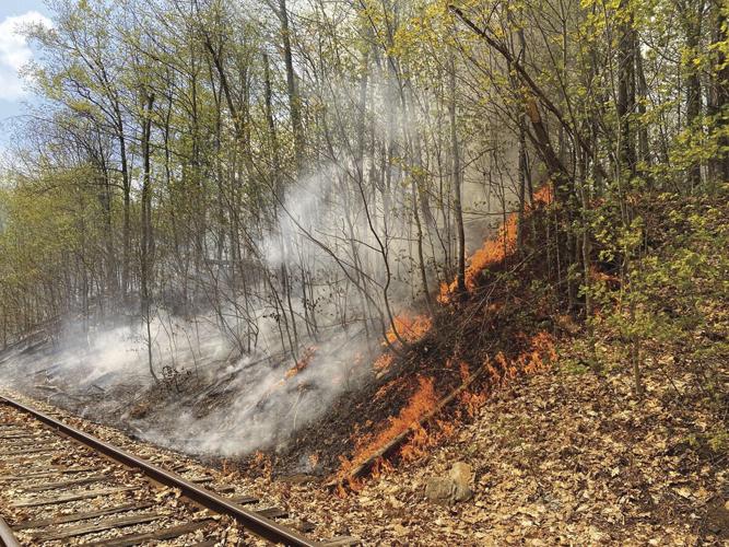 106-acre Bemis Fire burns in Hart's Location | Local News ...