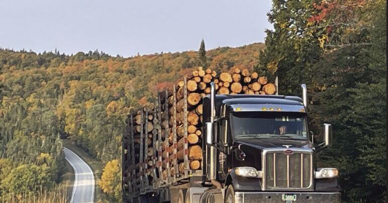 Loss of timber tax revenue may mean higher taxes, cutting services ...