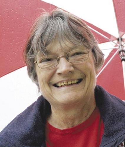 Six vie for three seats in Carroll District 1 | Local News ...