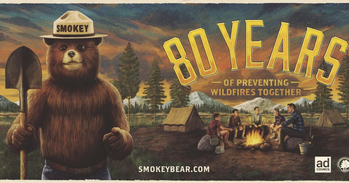 New Hampshire to fete Smokey the Bear's 80th birthday | Local News ...