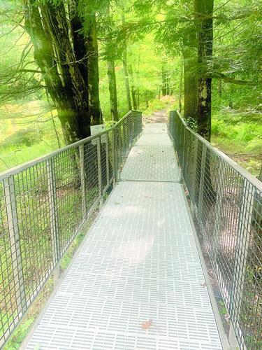 Debate heats up over safe passage to Ham Bridge | News | conwaydailysun.com