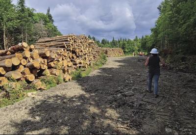 Shaheen urges new Pittsburg land owners to protect logging | Local News ...